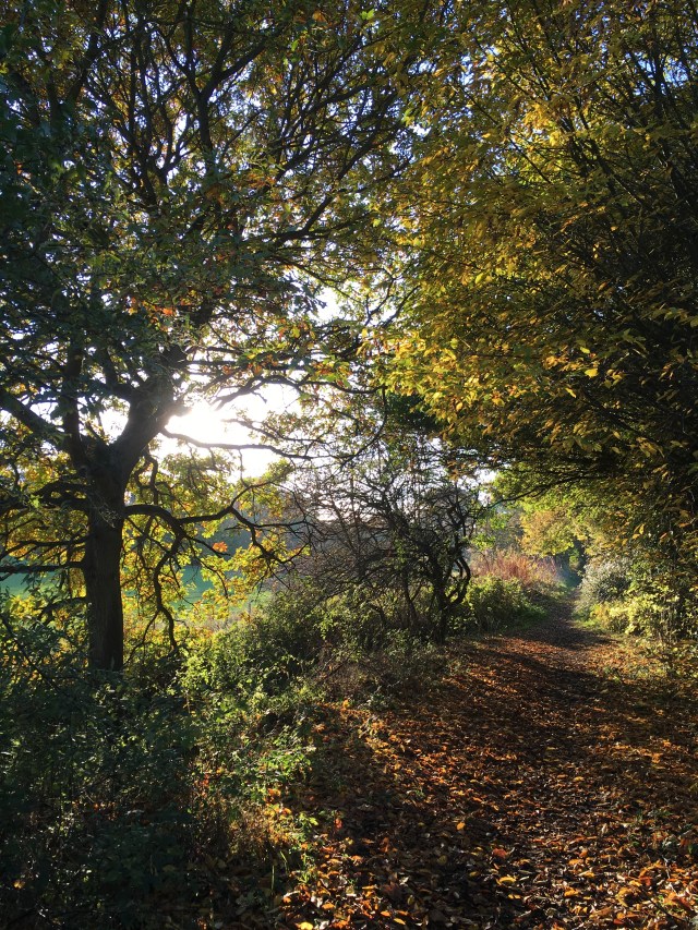 The Old Straight Track – Cunning Folk
